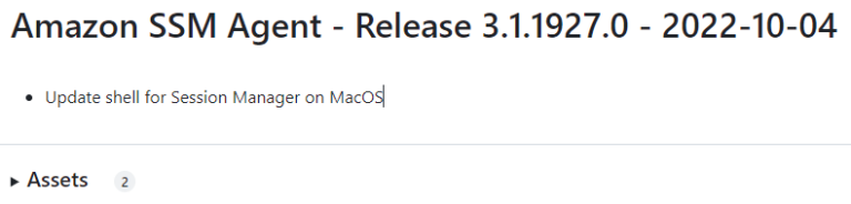 【AWS】SSM Agentの古いバージョンのインストーラを取得する【Windows】 | 現場で使える！ AWS実践ガイド
