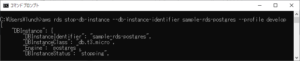 【AWS CLI】RDSを停止する | 現場で使える！ AWS実践ガイド